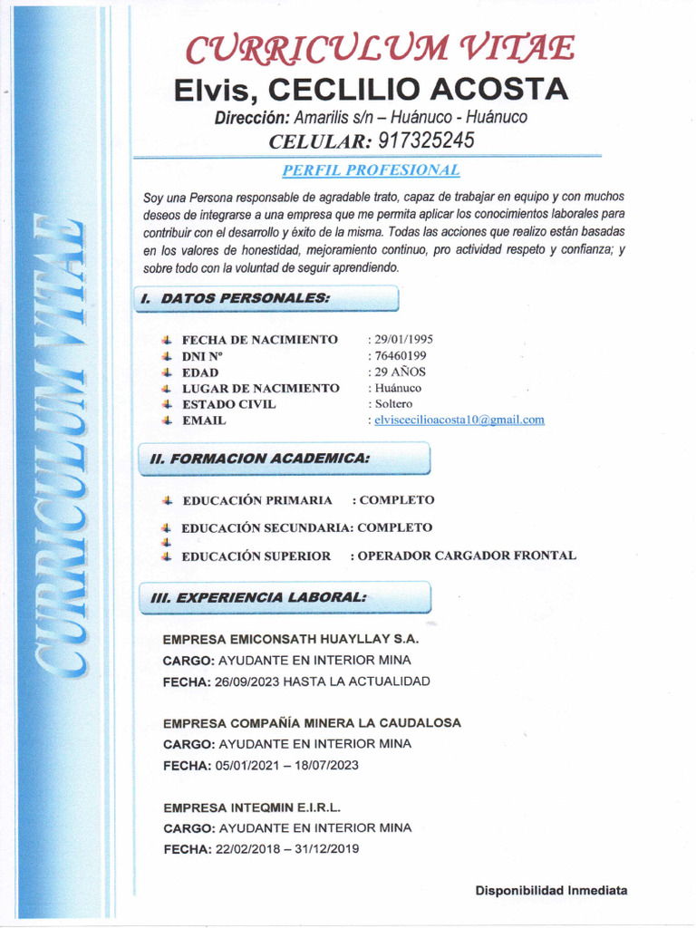 CV Elvis Cecilio Acosta | PDF