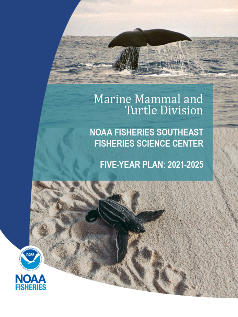 NOAA MMTD Plan Final - 508 - EXTERNAL | PDF | National Oceanic And ...