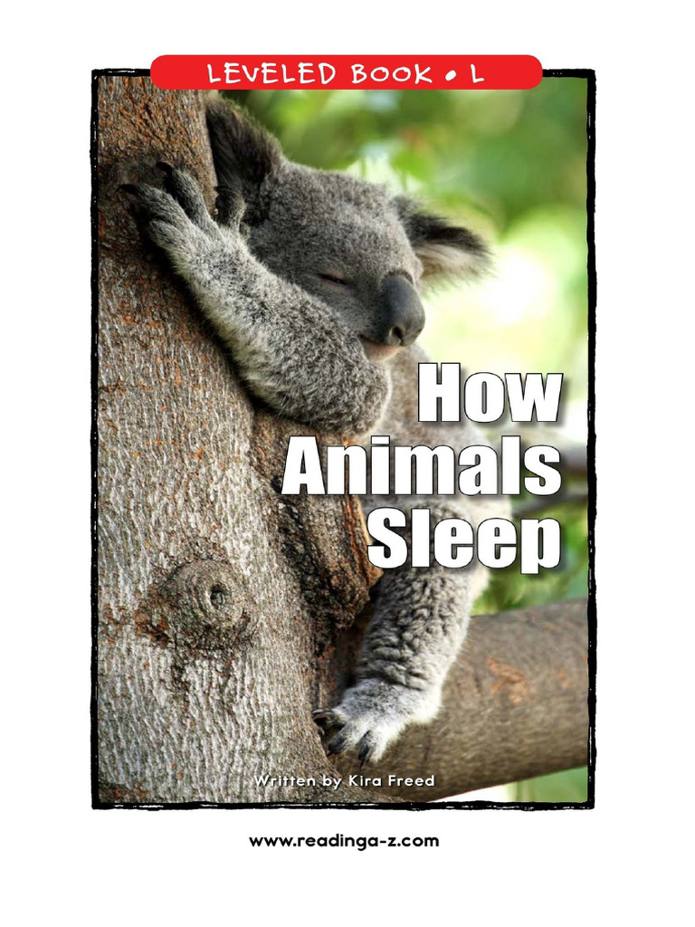 How Animals Sleep | PDF