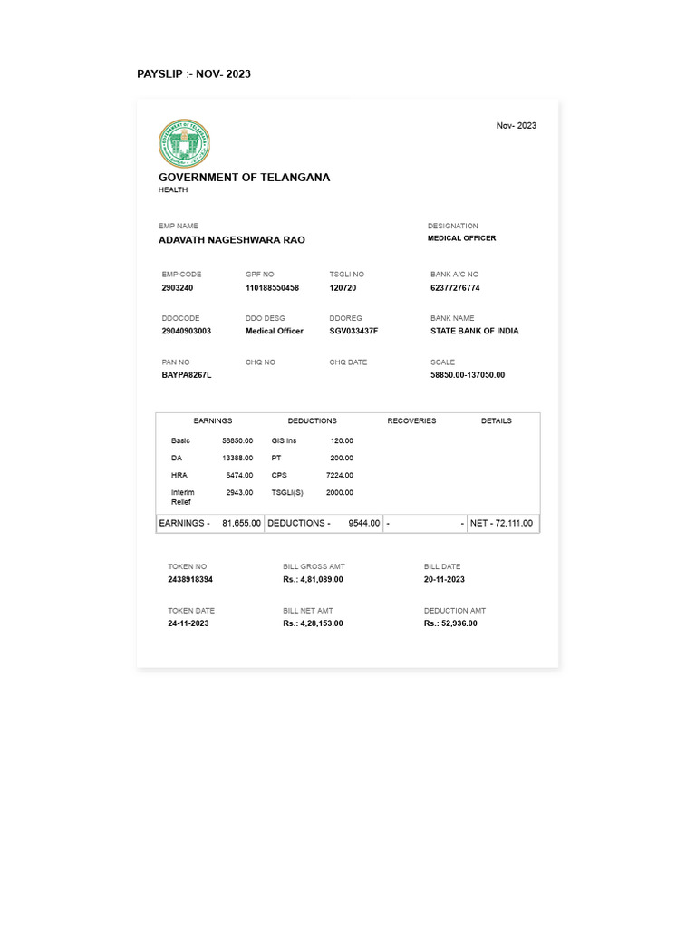 November Pay Slip | PDF