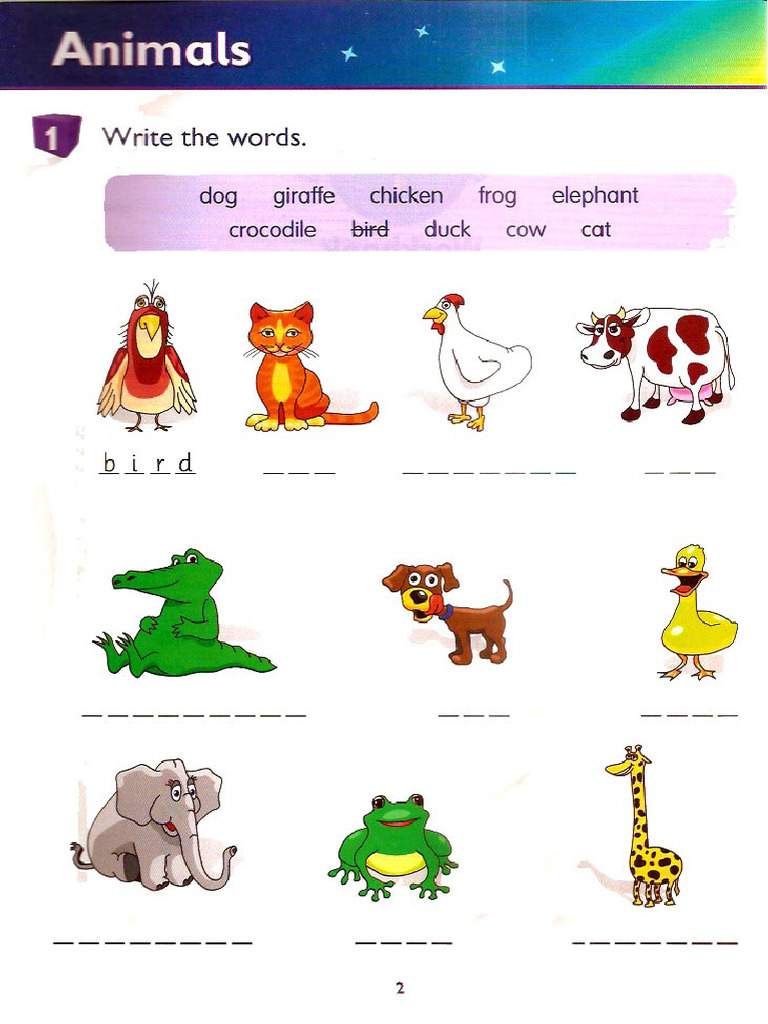 01_Primary-Dictionary-1-Workbook_Topic Animals | PDF