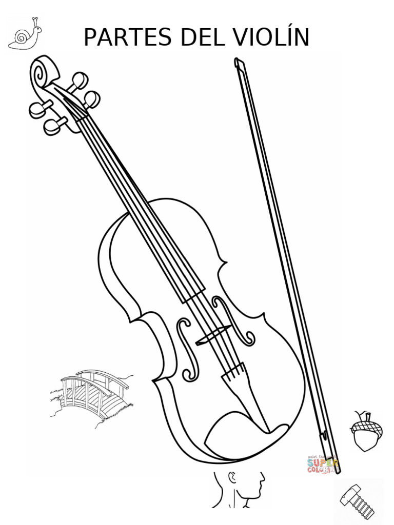 Partes del Violín: Guía Completa | PDF