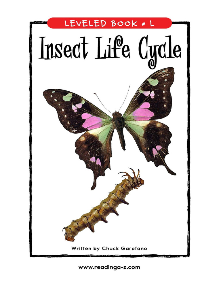 Insect Life Cycle | PDF