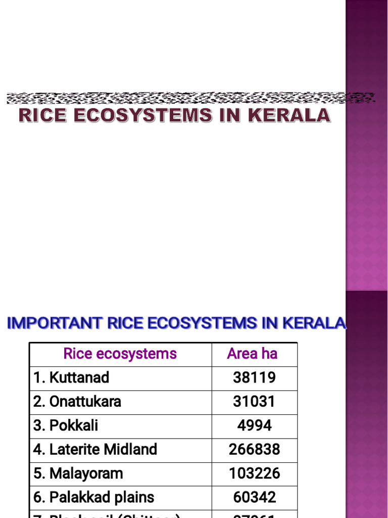 Key Rice Ecosystems of Kerala | PDF | Sowing | Tillage