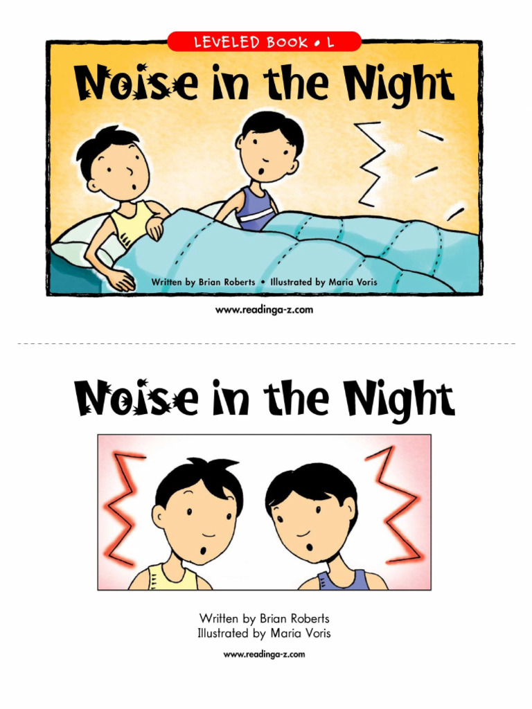 Noise in The Night | PDF