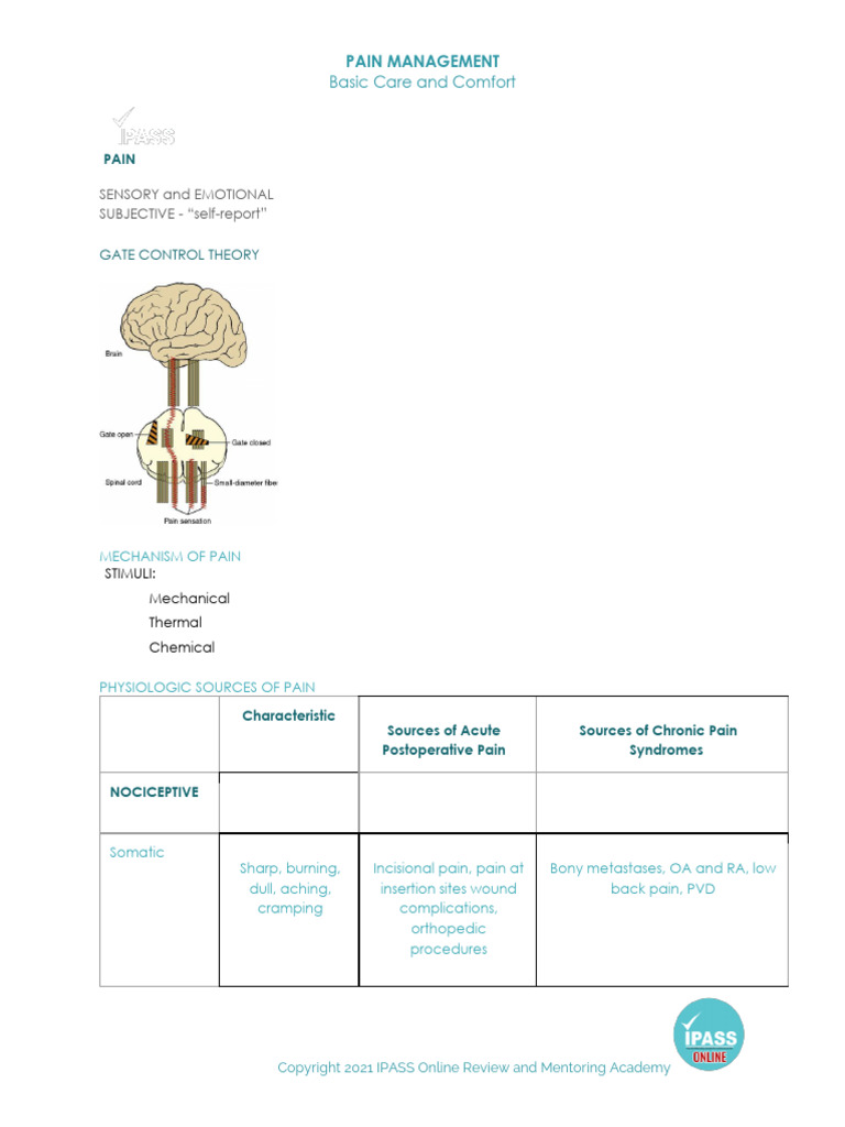 Basic Care and Comfort Pain Management - Handouts | PDF | Pain | Pain ...