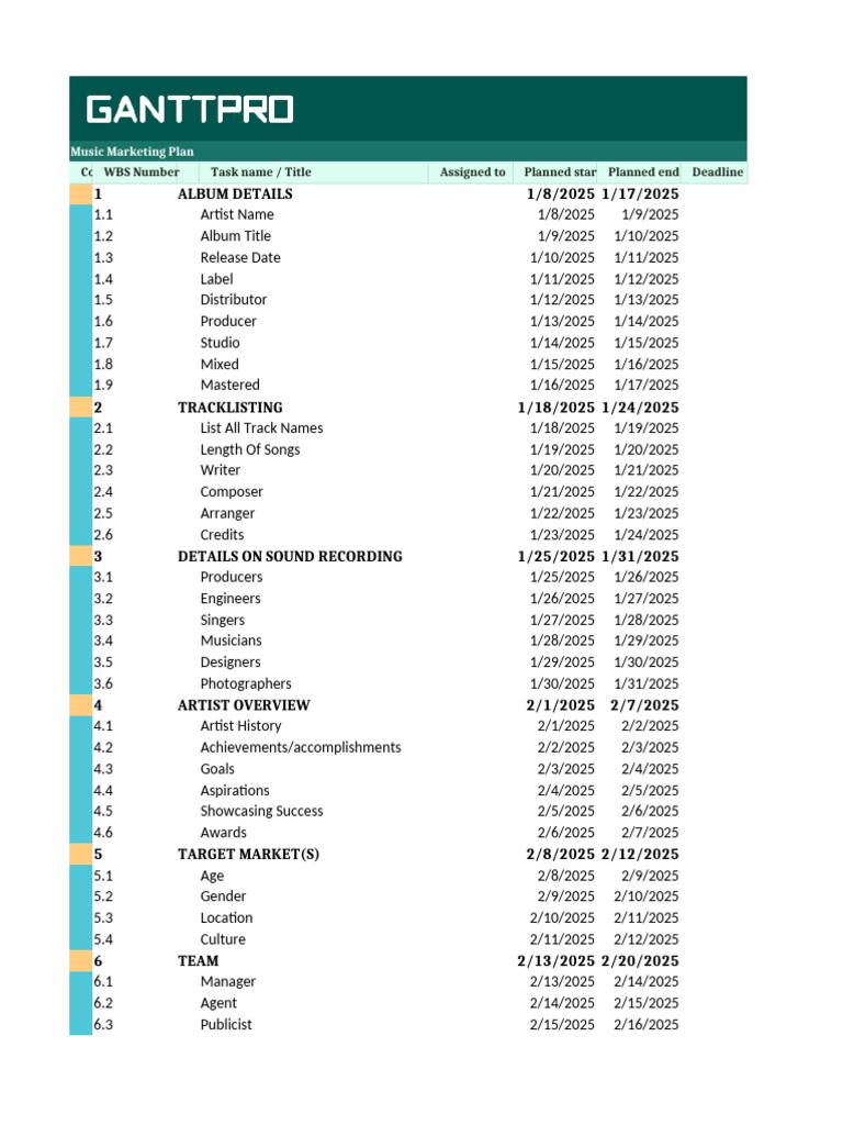 Music Marketing Plan Template | PDF | Mass Media