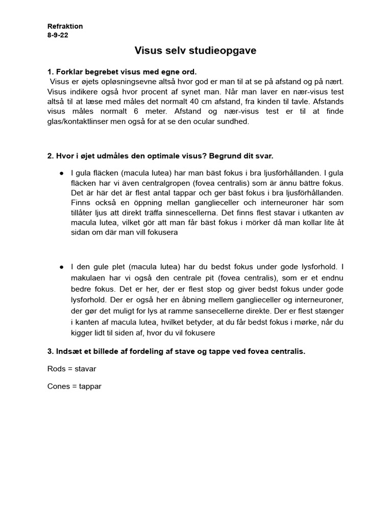 Visus Selvstudieopgave | PDF