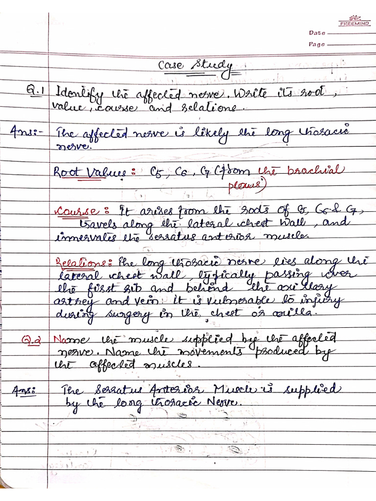 Anatomy Case Study | PDF