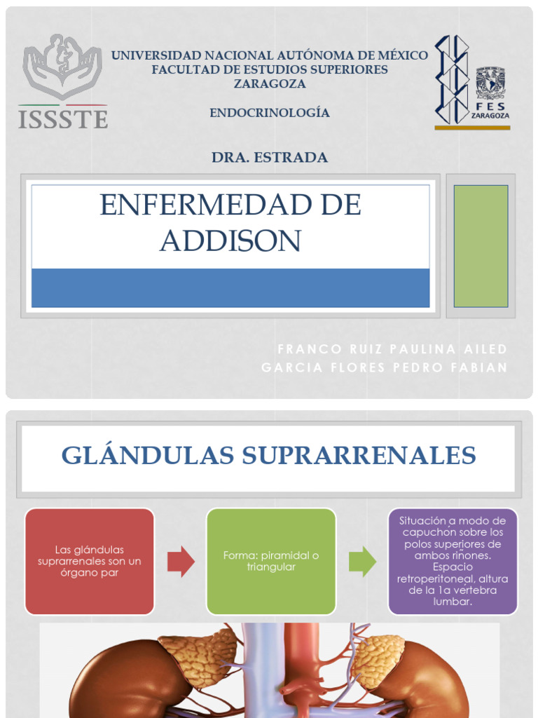 Enfermedad de Addison | PDF | Glándula suprarrenal | Sistema endocrino