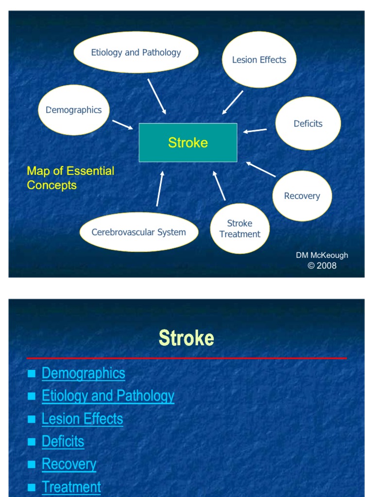 StrokeConceptMap.2