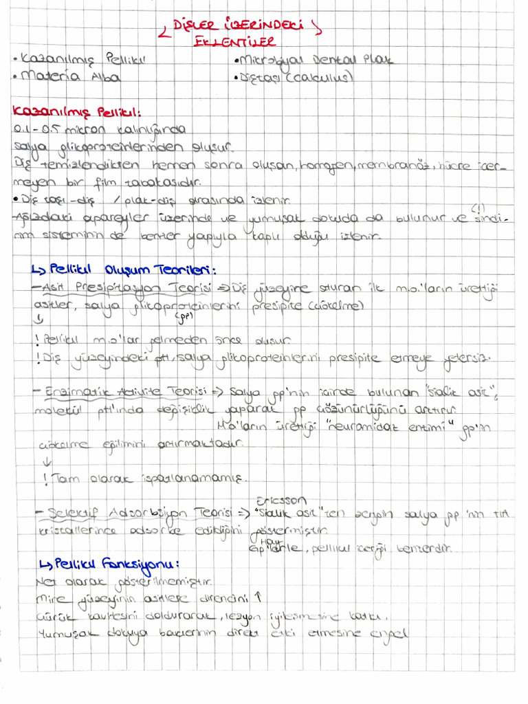 Tara 13 Kas 2021 | PDF