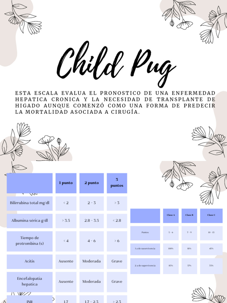 Child Pug, Apache 2, Bisap y Balthazar | PDF | Enfermedades y ...
