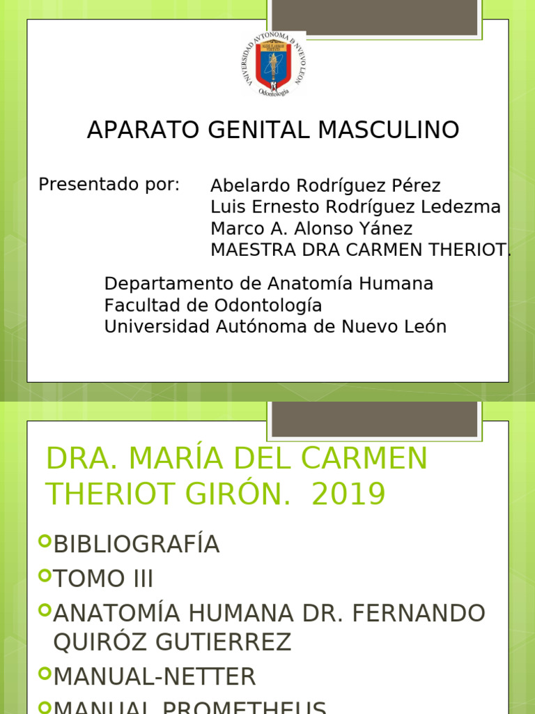 Aparatos Genitales | PDF | Ovario | Labios