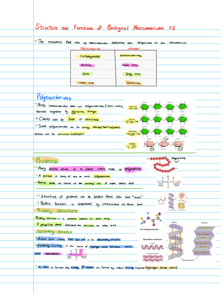 AP Bio 1.5 NOTES | PDF | Nucleotides | Dna