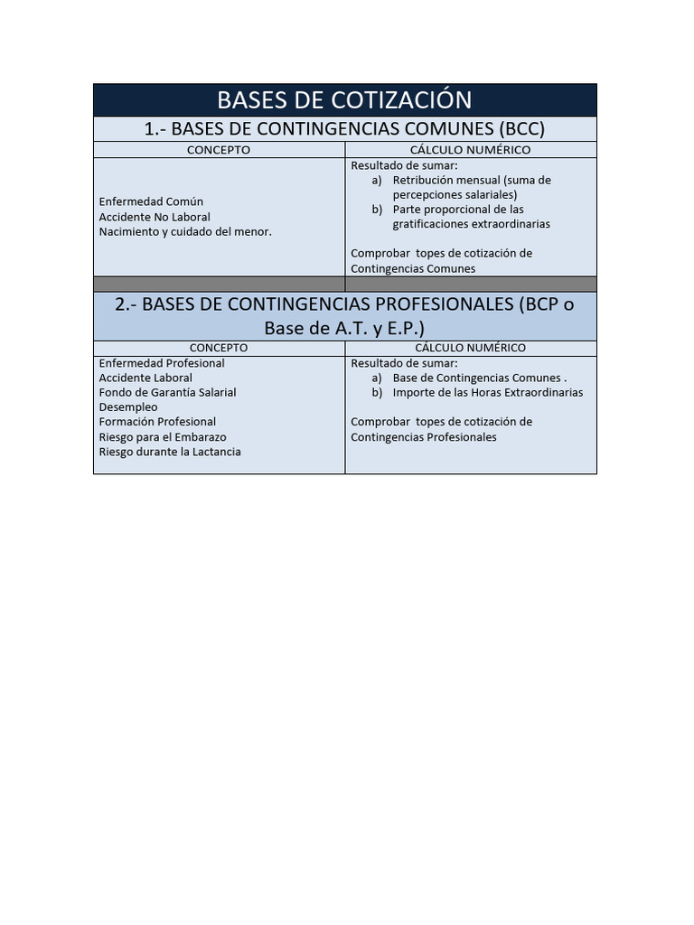 ESQUEMA BASES DE COTIZACIÓN | PDF