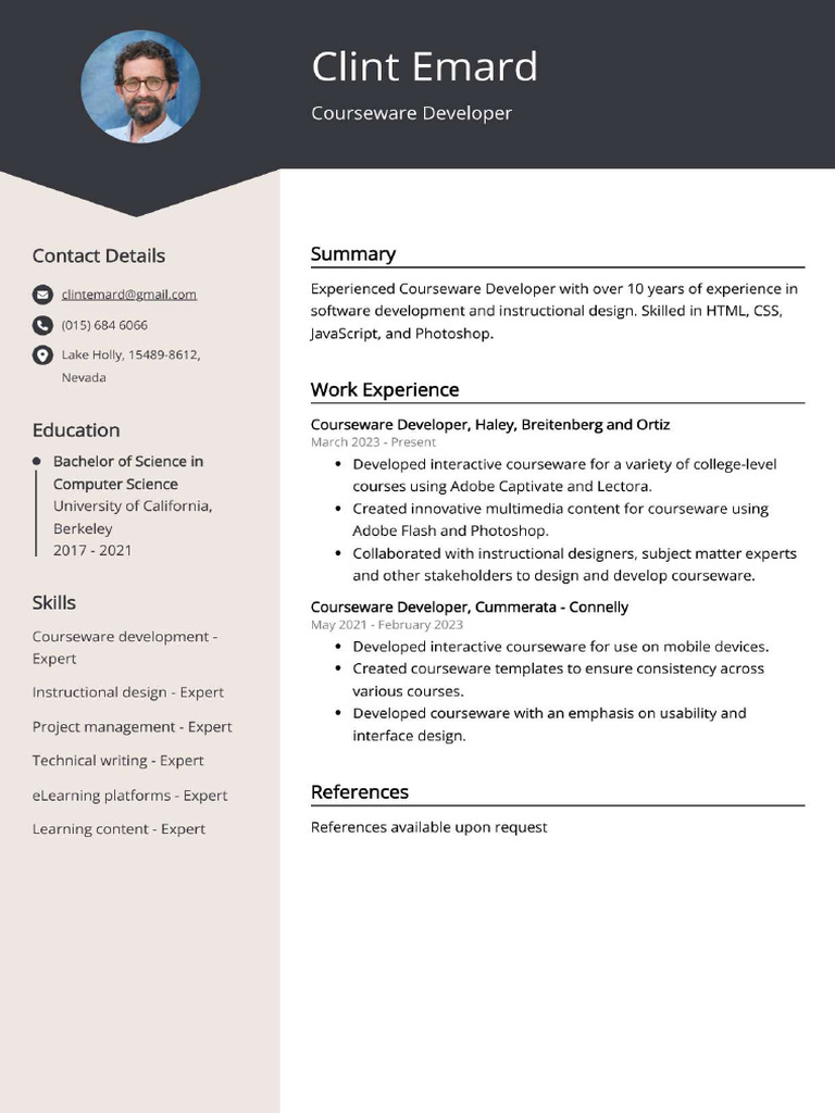Courseware Developer Resume Example | PDF