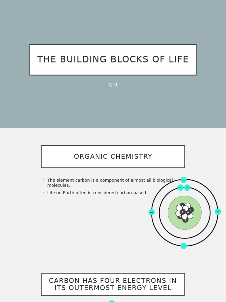 Building blocks of life | PDF | Carbohydrates | Lipid