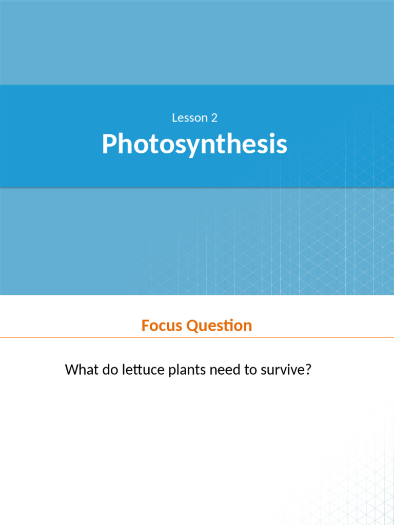 CA Lesson 2 Photosynthesis | PDF | Photosynthesis | Chloroplast