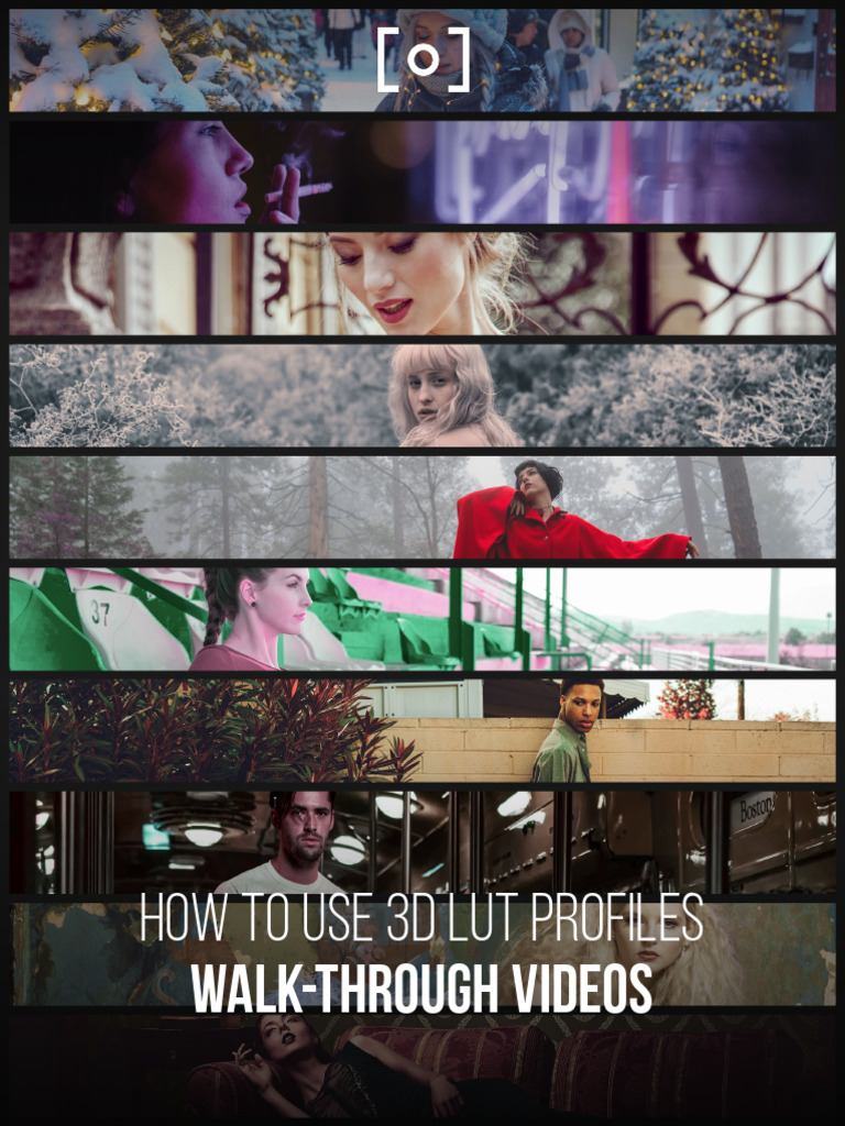 How To Use 3D LUT Profiles Document | PDF