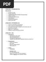 Intensive Form For Afrikaans | PDF