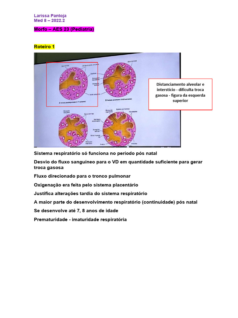 Morfo (1) | PDF | Pneumonia | Pulmão