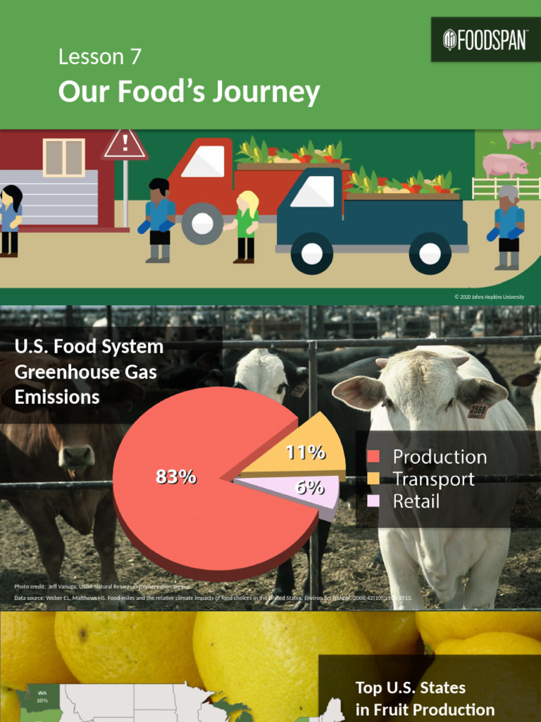 Lesson7 Foods Journey Slides | PDF