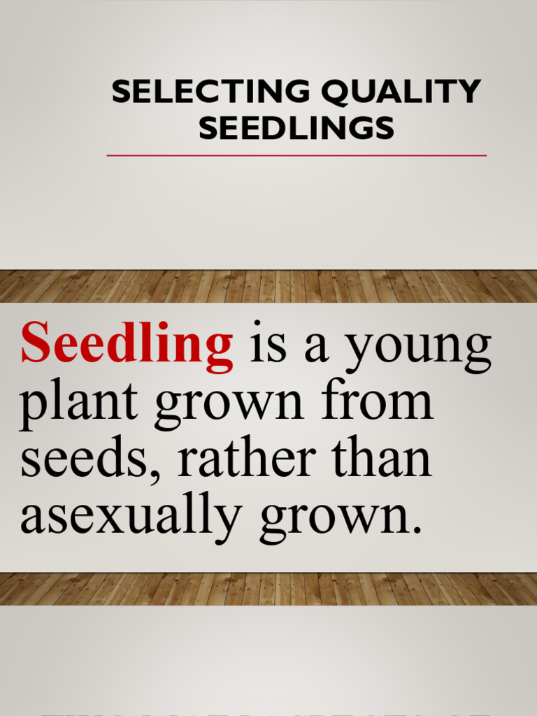 Selecting Quality Seedlings | PDF