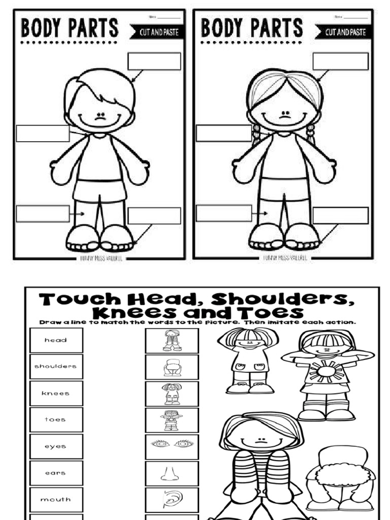 Body Parts | PDF