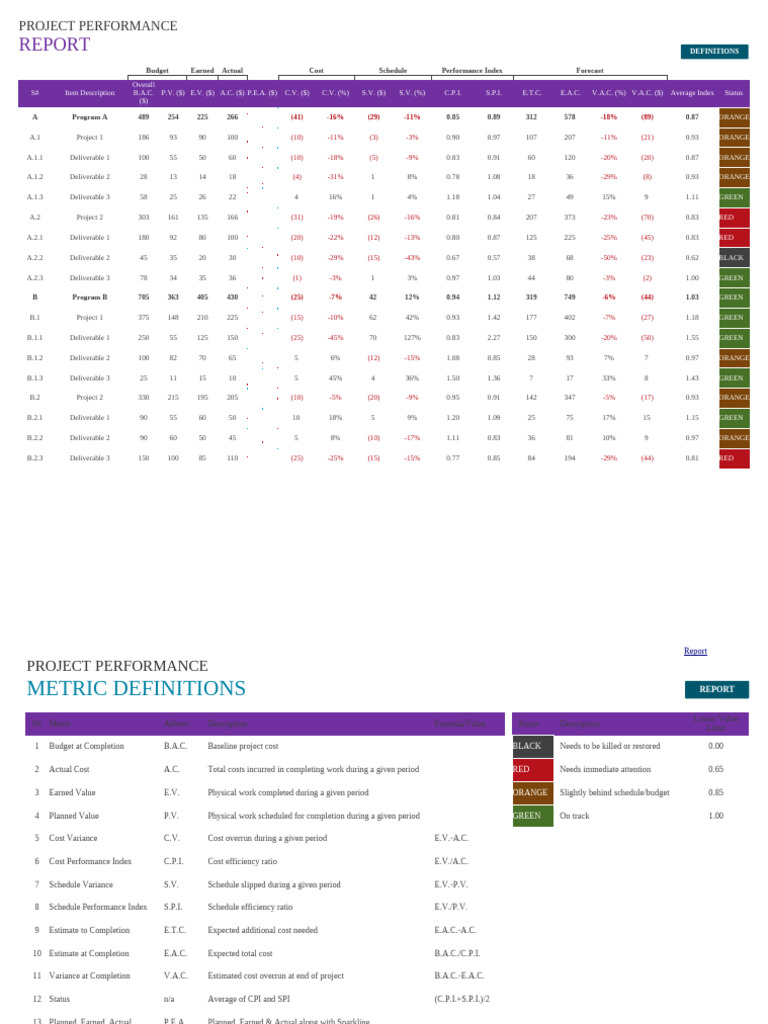 Project Performance Metrics | PDF | Pricing