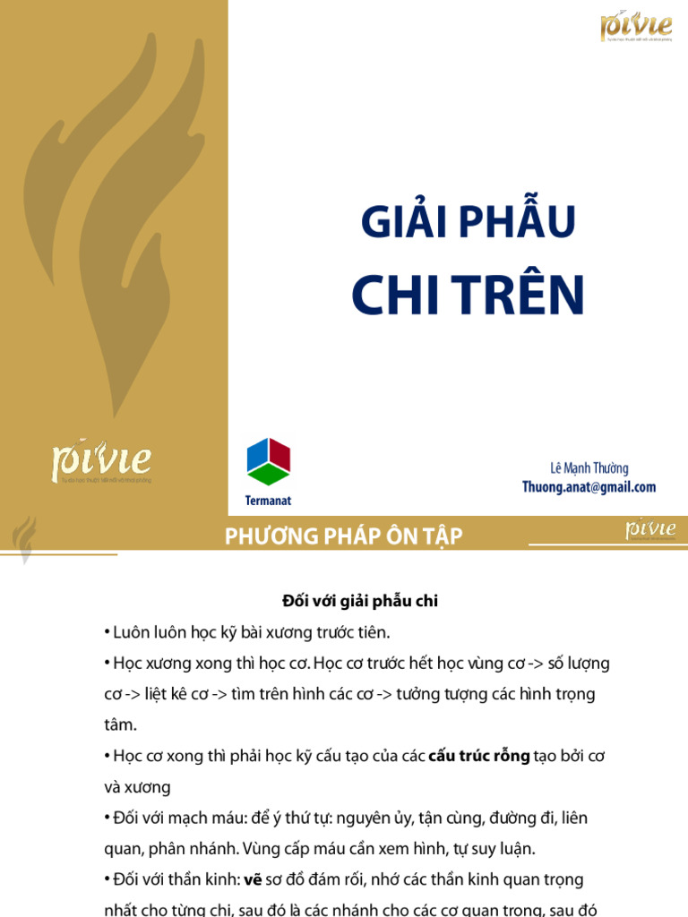 Bai 3 Giai Phau Chi Tren Buoi 2 6090 | PDF