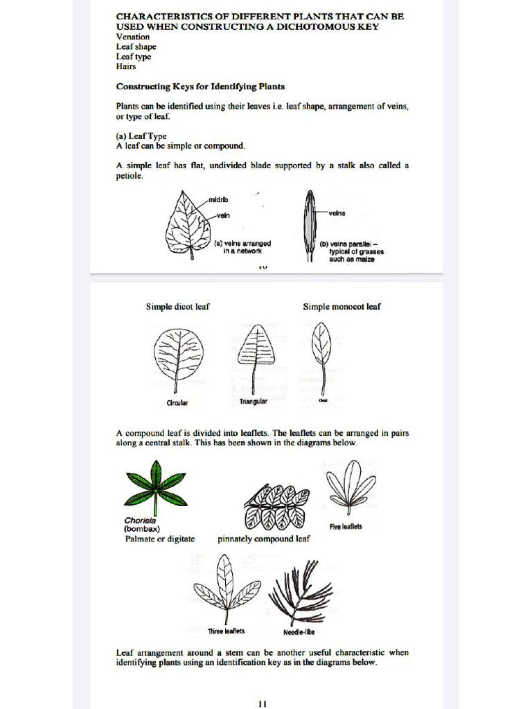 Plant Characteristics | PDF