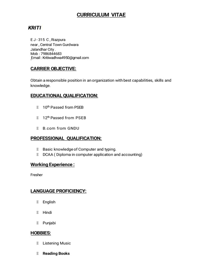 Entry-Level Job Seeker CV | PDF