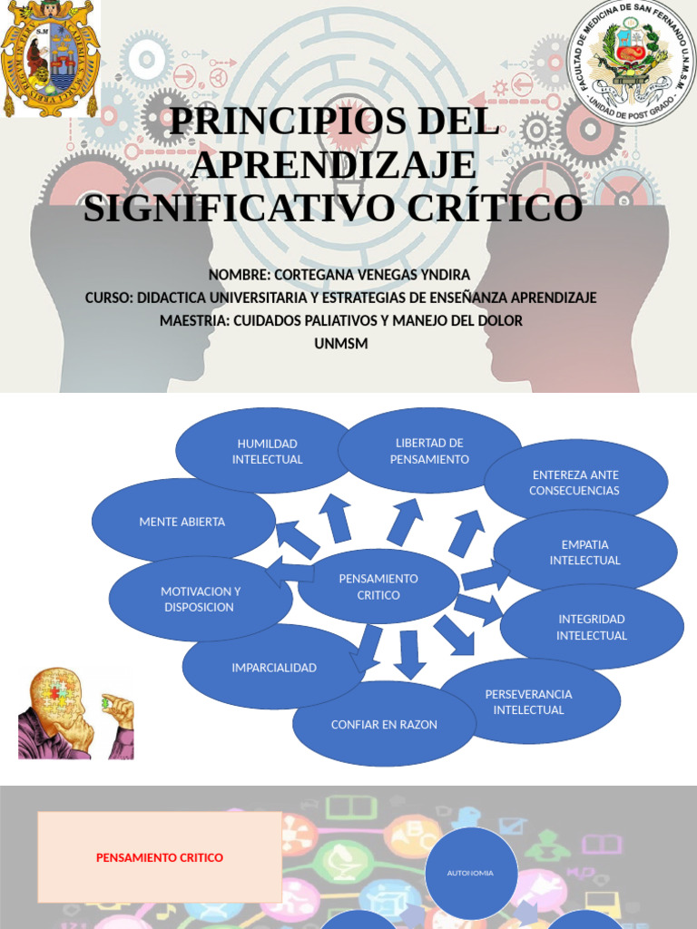 Principios Del Aprendizaje Significativo Critico | PDF