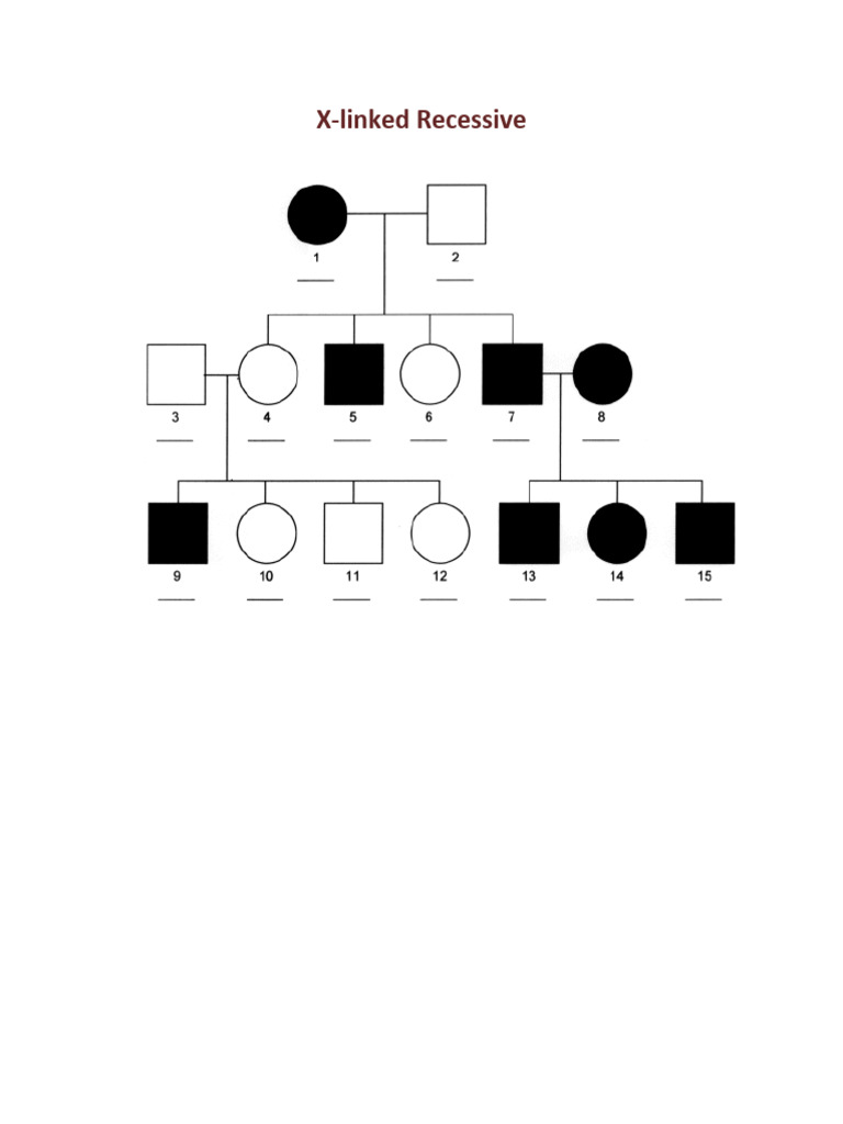 Sex X Linked Recessive Inheritance Blank Pedigree Pdf 0605