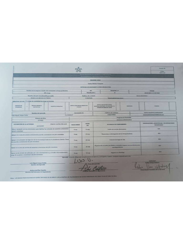 Bitácora #11 Luis Miguel | PDF