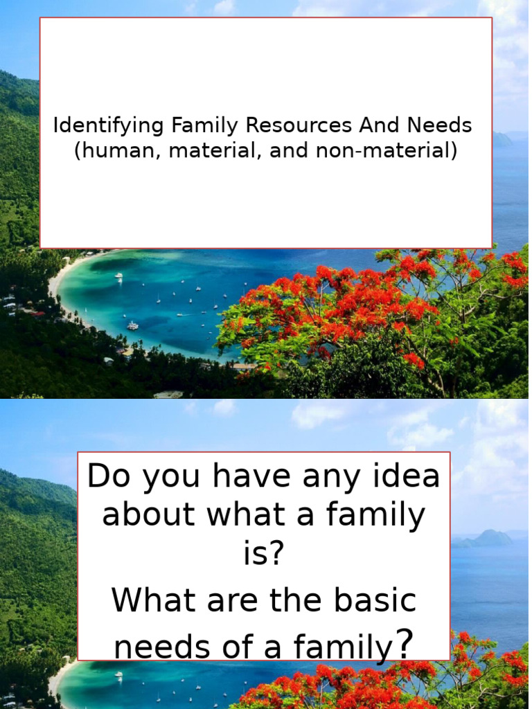 Family Needs and Resources Explained | PDF | Basic Needs | Human Capital