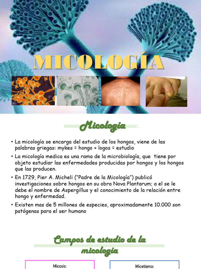 MICOLOGÍA PBB II | PDF | Hongo | Microbiología