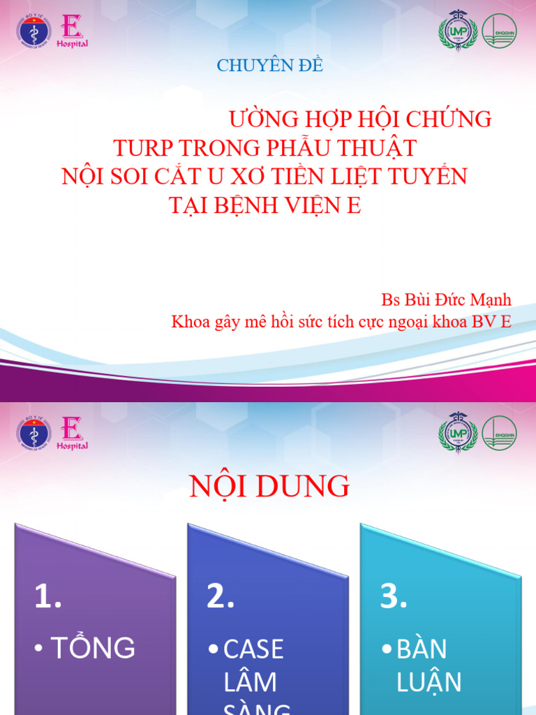 Bs-bui-duc-manh Tieng-Viet 1dfa0151 22b0 44bf Aa45 Ed757e79c08a | PDF