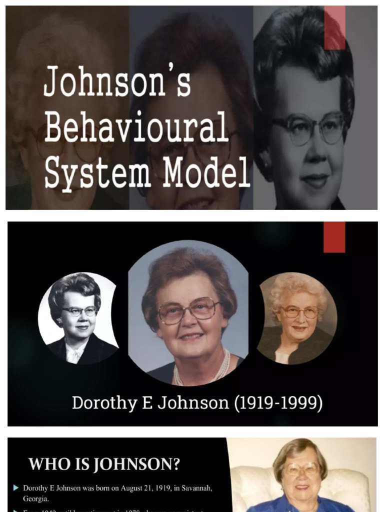 Johnsons Behavioral System Model | PDF