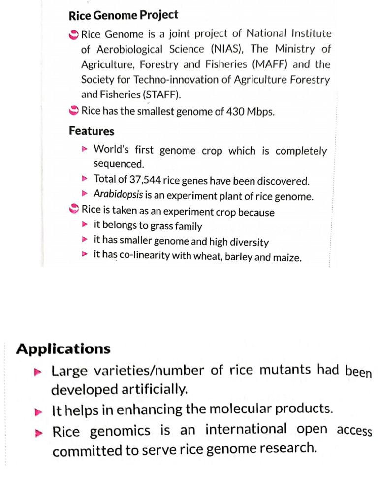 Rice Genome Project | PDF