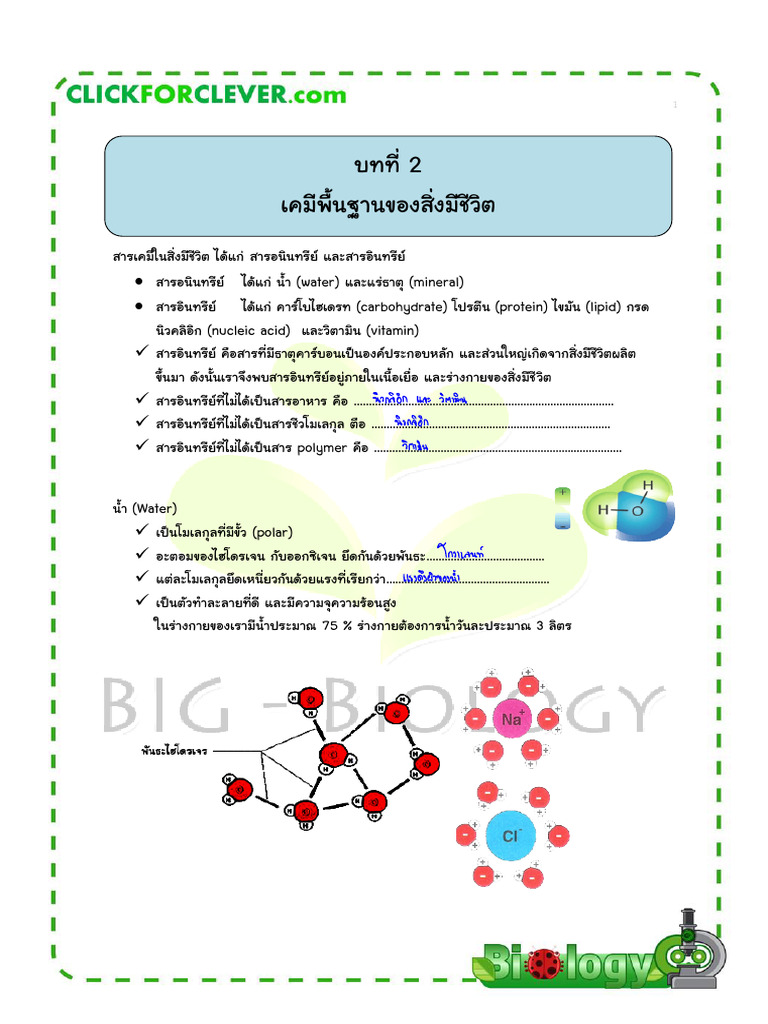 Screenshot 2567-07-11 at 7.54.43 PM | PDF