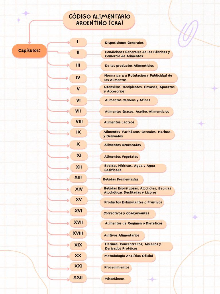Documento A4 Gráfico de Proceso Cinco Pasos Moderno Infográfico Multicolor_20240702_224155_0000 ...