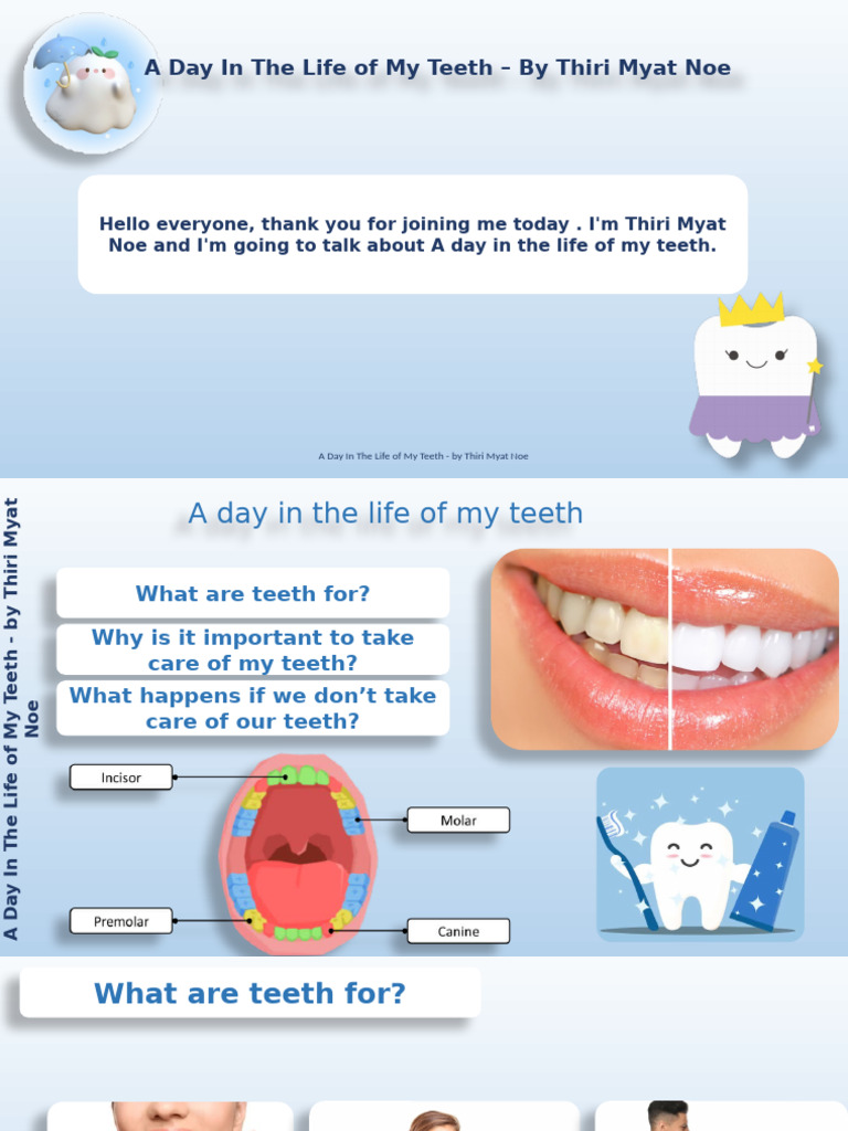 Starfish Project 1 | PDF | Tooth | Dentistry