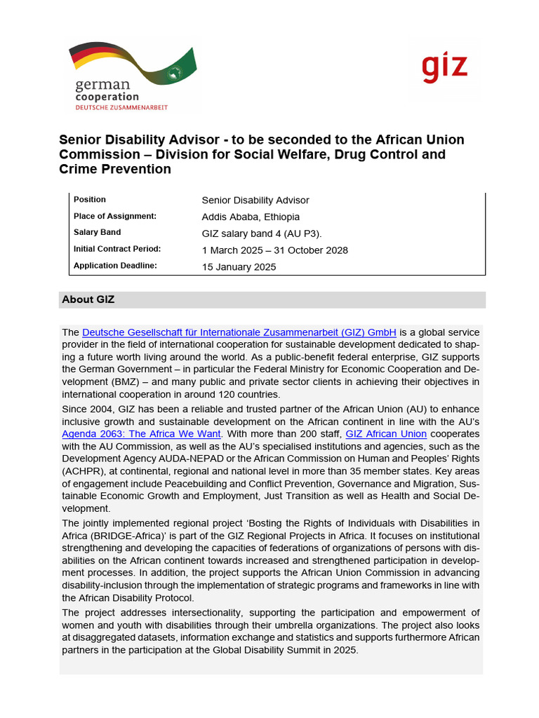 Senior Disability Advisor Position in AU | PDF | African Union