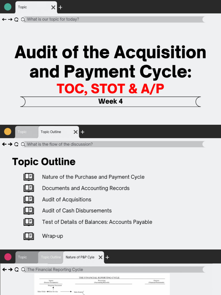 ExtAud 2 4 Audit of Purchase and Payment Cycle | PDF