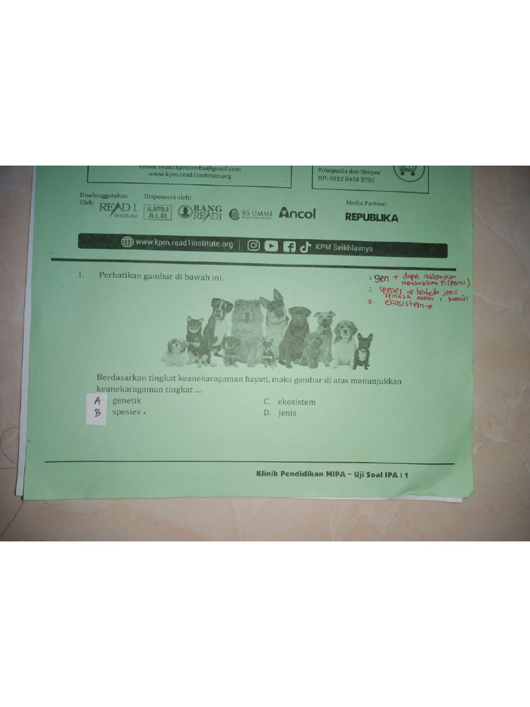 Soal Assesmen KSNR | PDF