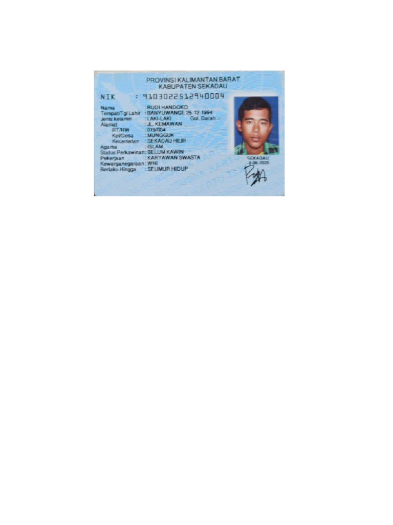 Data Tanah Bibit Sawit | PDF