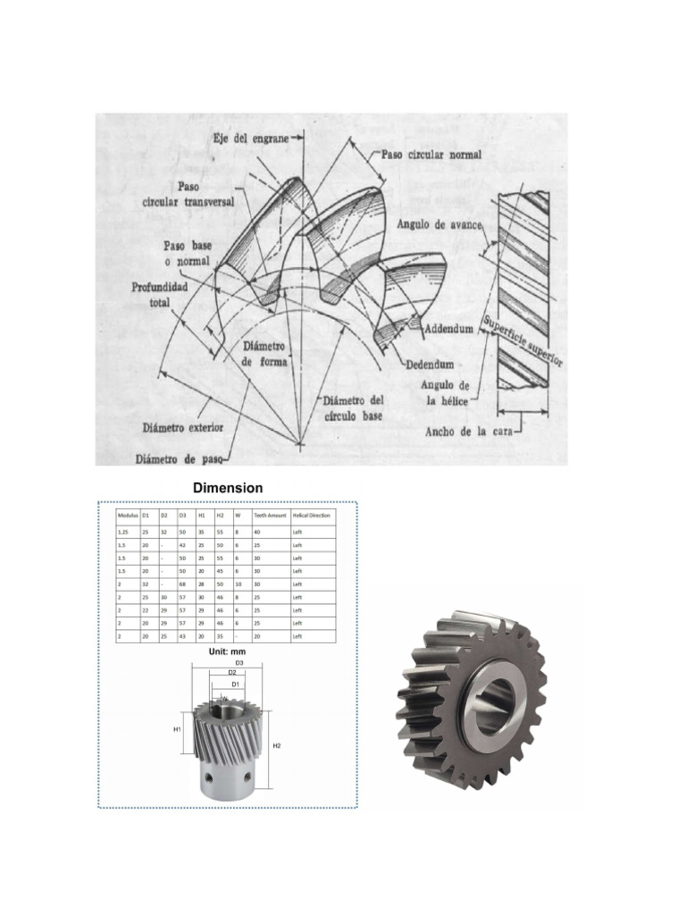 Engrane | PDF