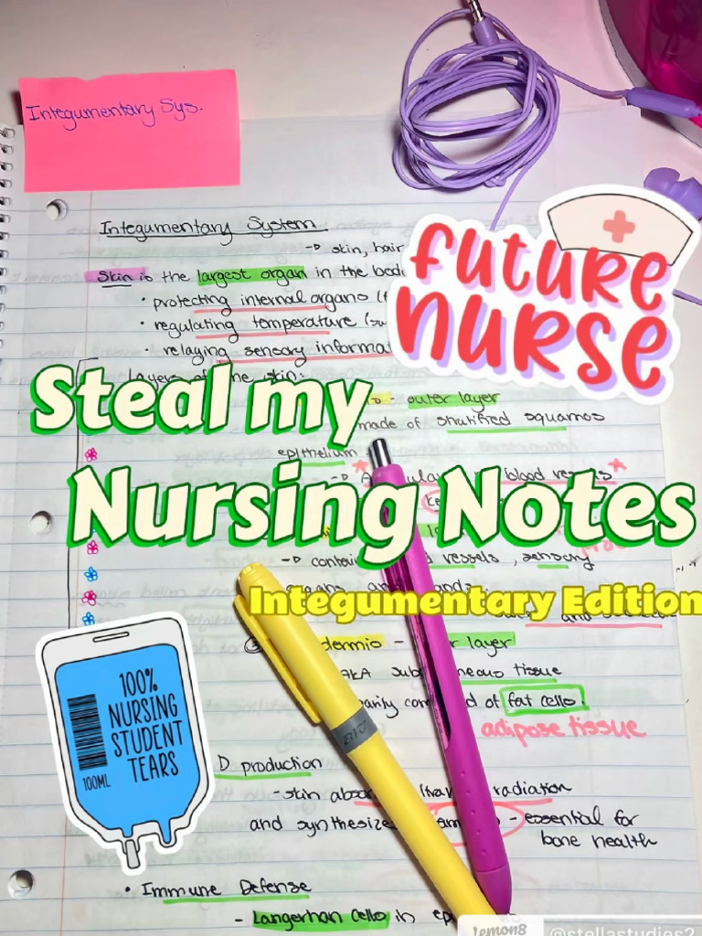Integumentary System Notes | PDF
